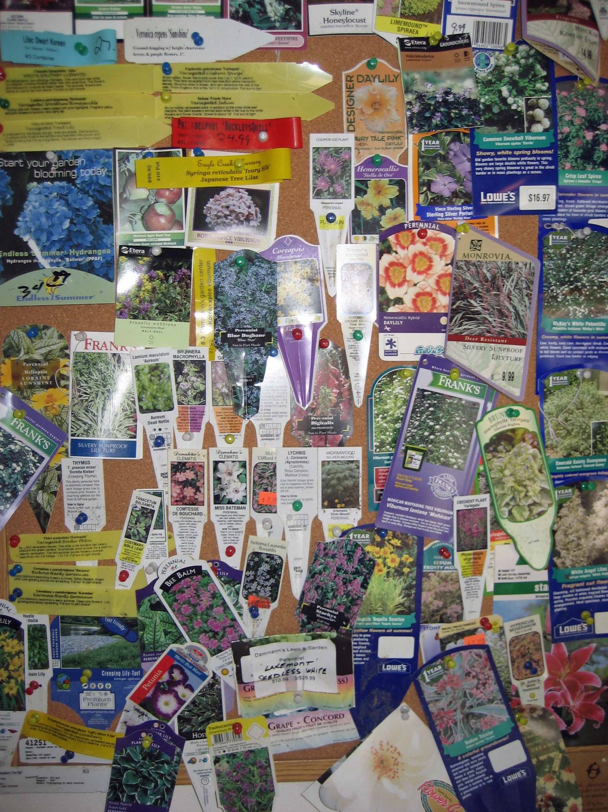 Cataloging My Plants A New Project Carol J Michel