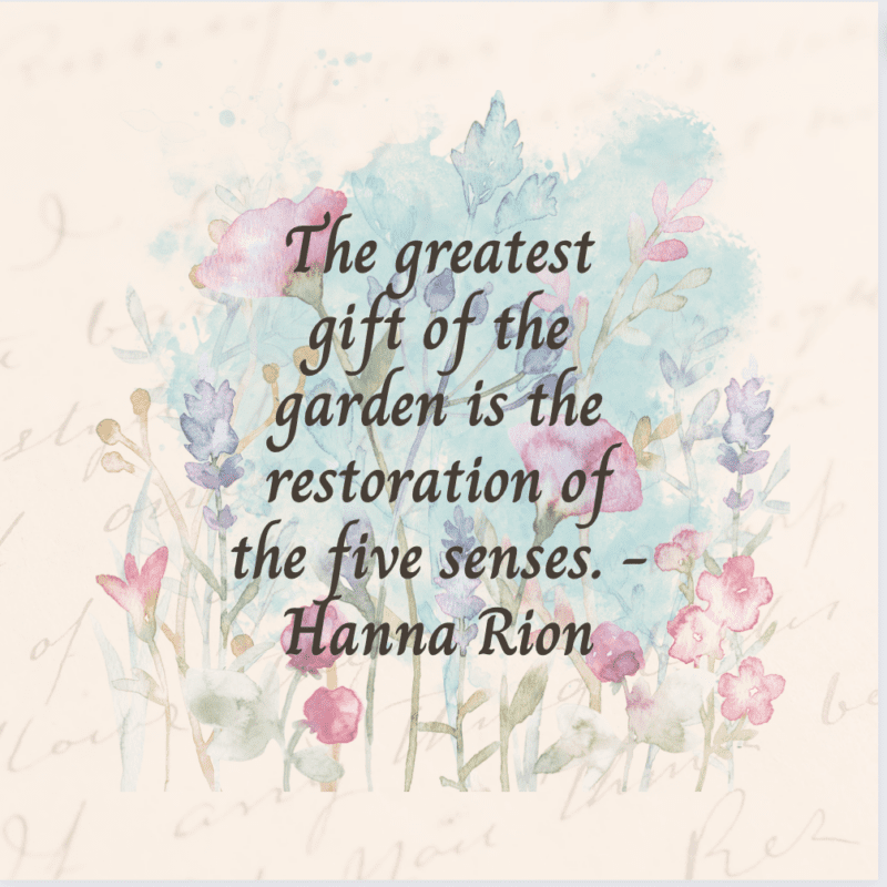 Lost Ladies of Garden Writing: Hanna Rion - Carol J. Michel - Author ...